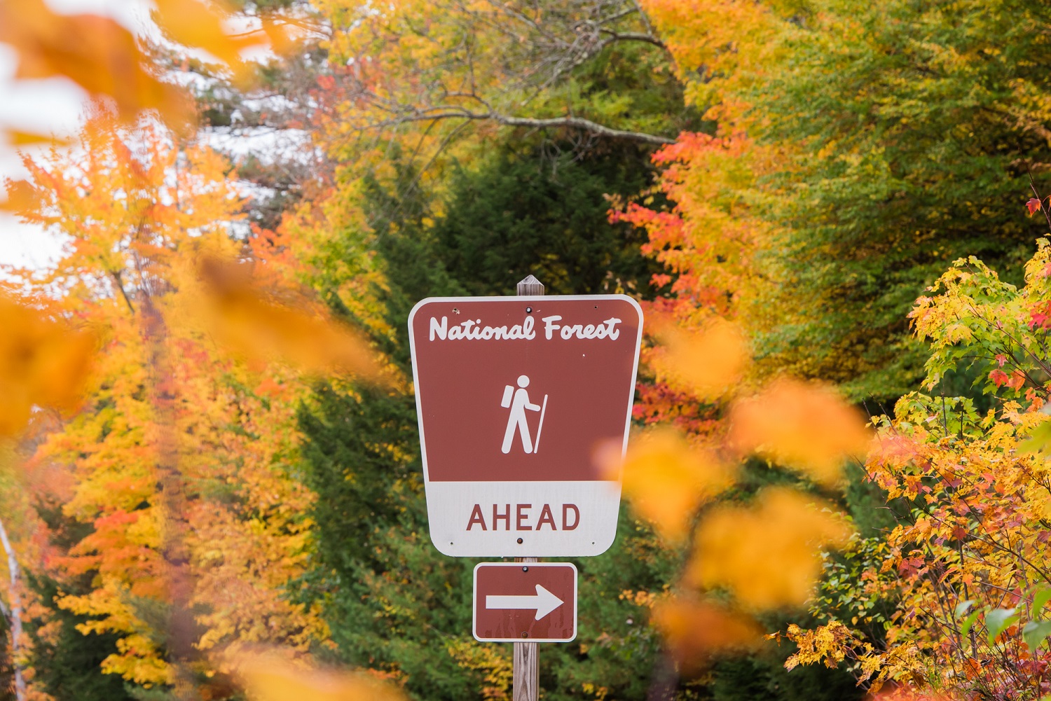 Home - The Common Man Lodge - Plymouth, NH